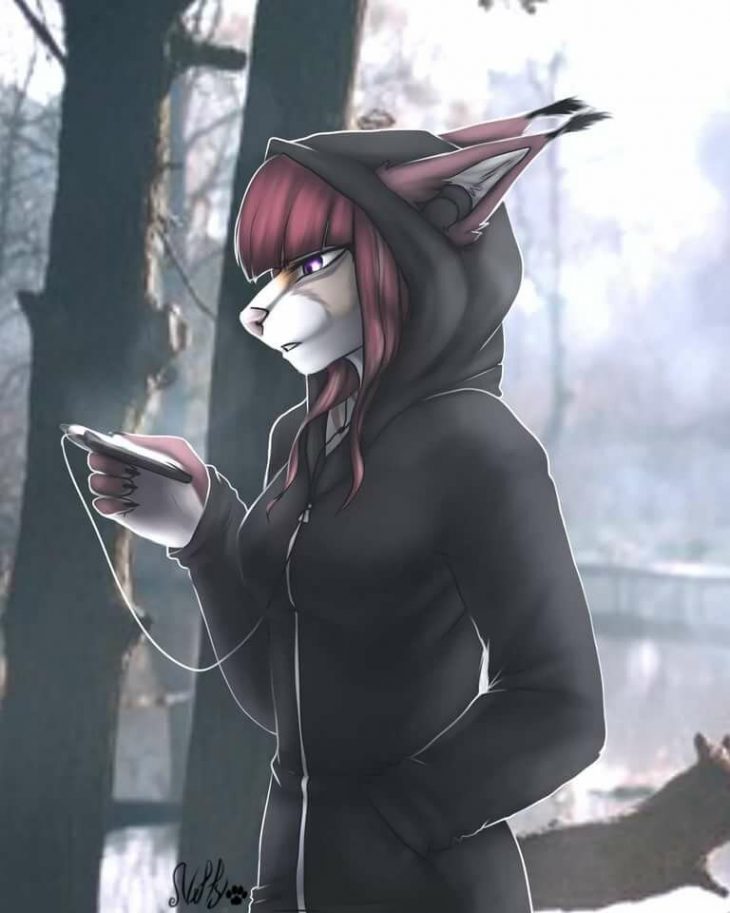 Самые прикольные картинки фурри (30 фото) 🌟